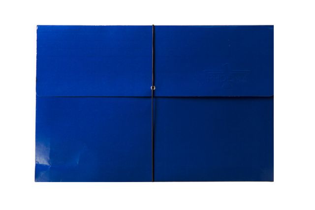 Phoenix Expanding Envelope Legal Blue | Office Warehouse, Inc.